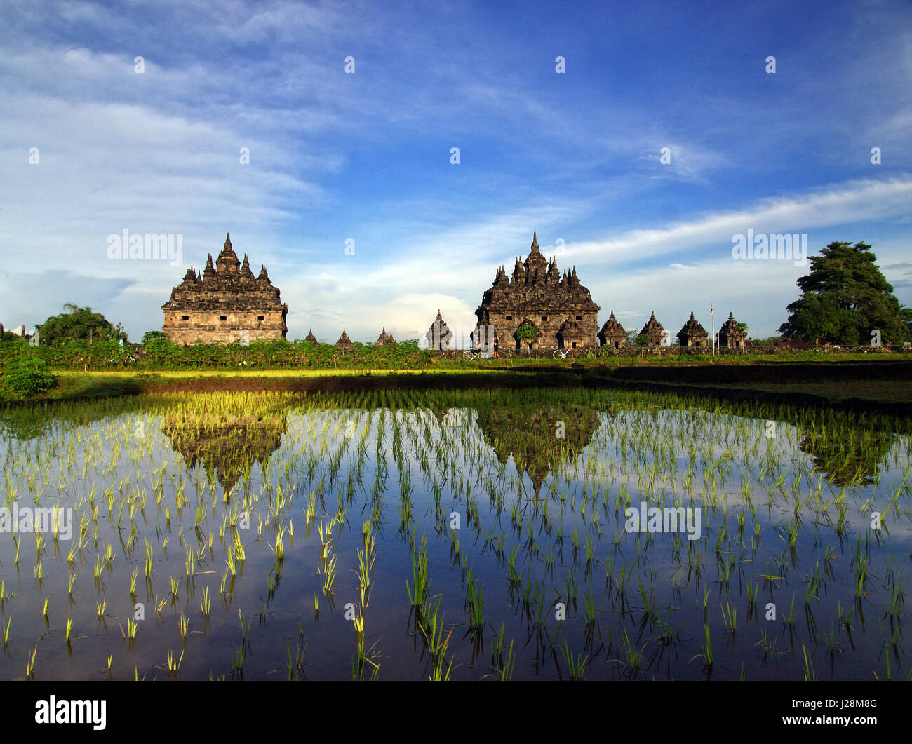 Central java art hi-res stock photography and images - Alamy