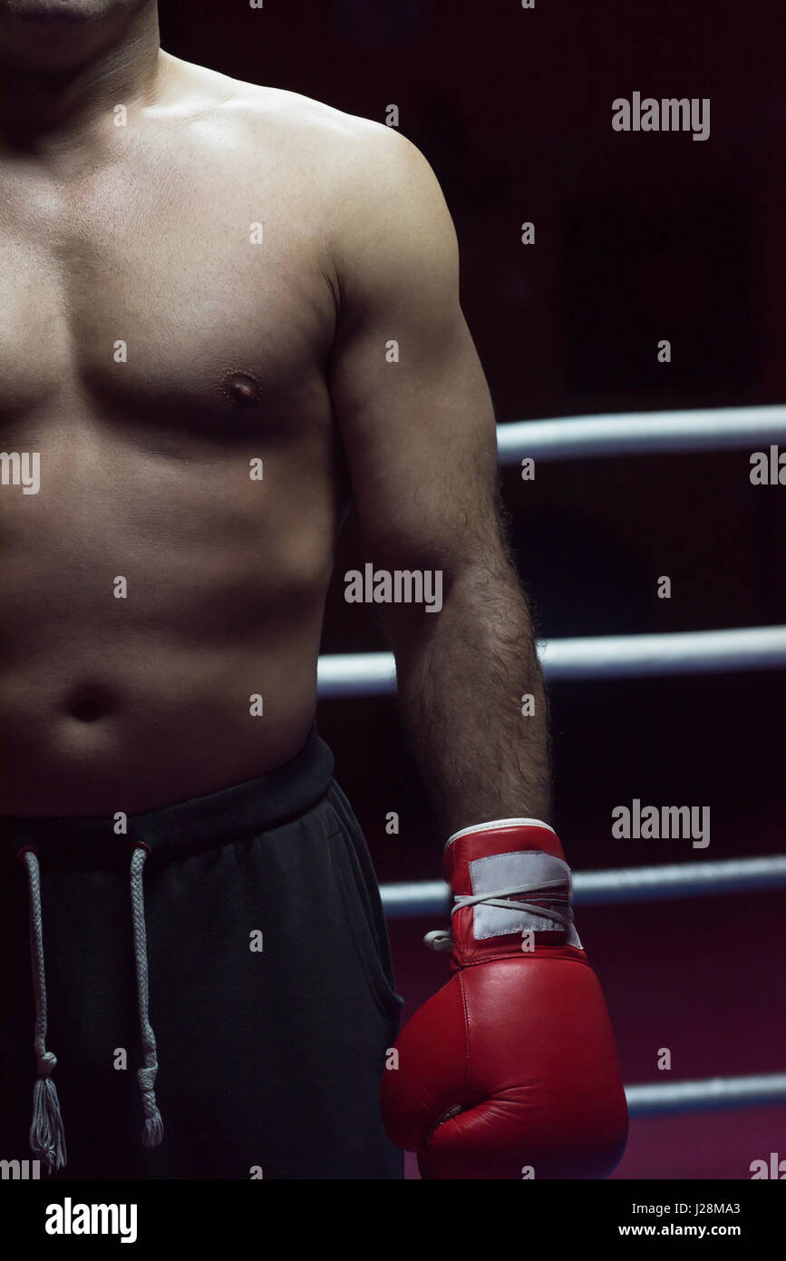 muscular professional kick boxer resting on the ropes in the corner of ...