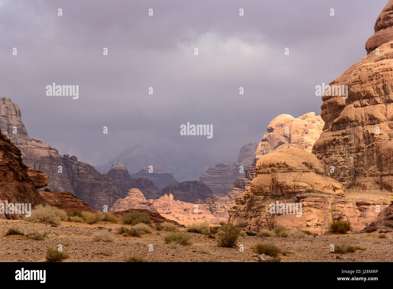 Jordan, Aqaba Gouvernement, Wadi Rum, Picnic at desert descents, The ...