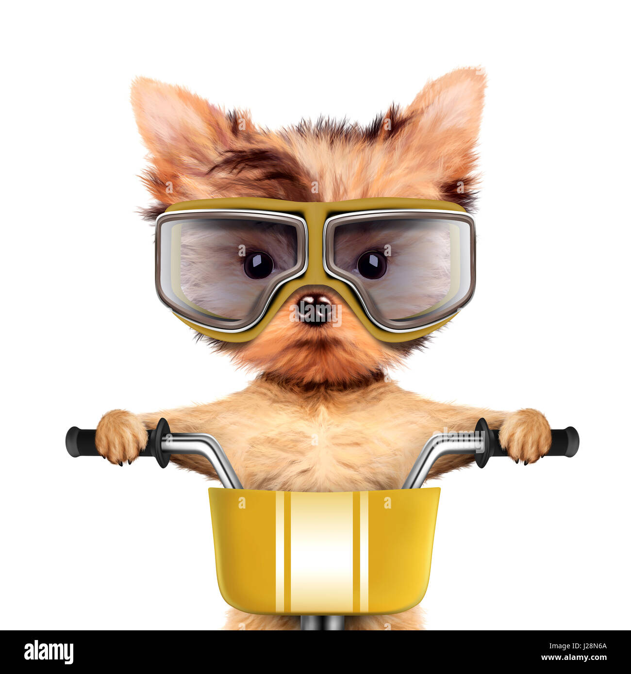 Adorable puppy sitting on a bike with googles Stock Photo - Alamy