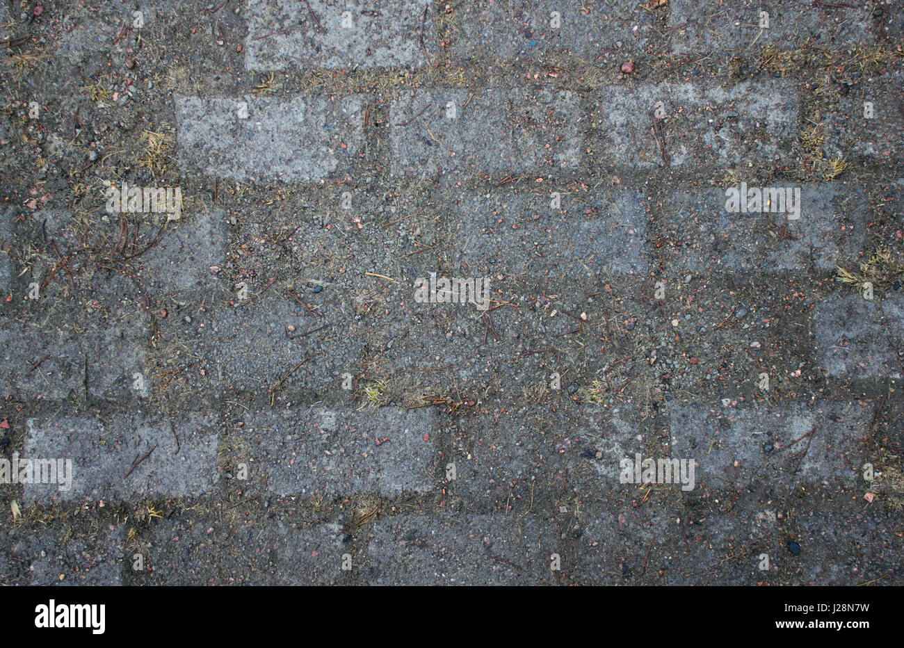 Old gray bricks lined path Stock Photo - Alamy