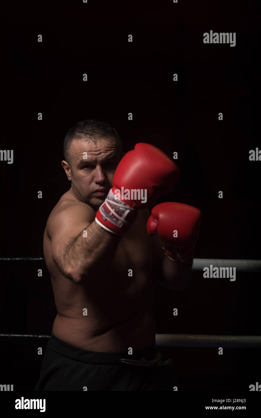 professional kickboxer with hands in martial arts position training for ...