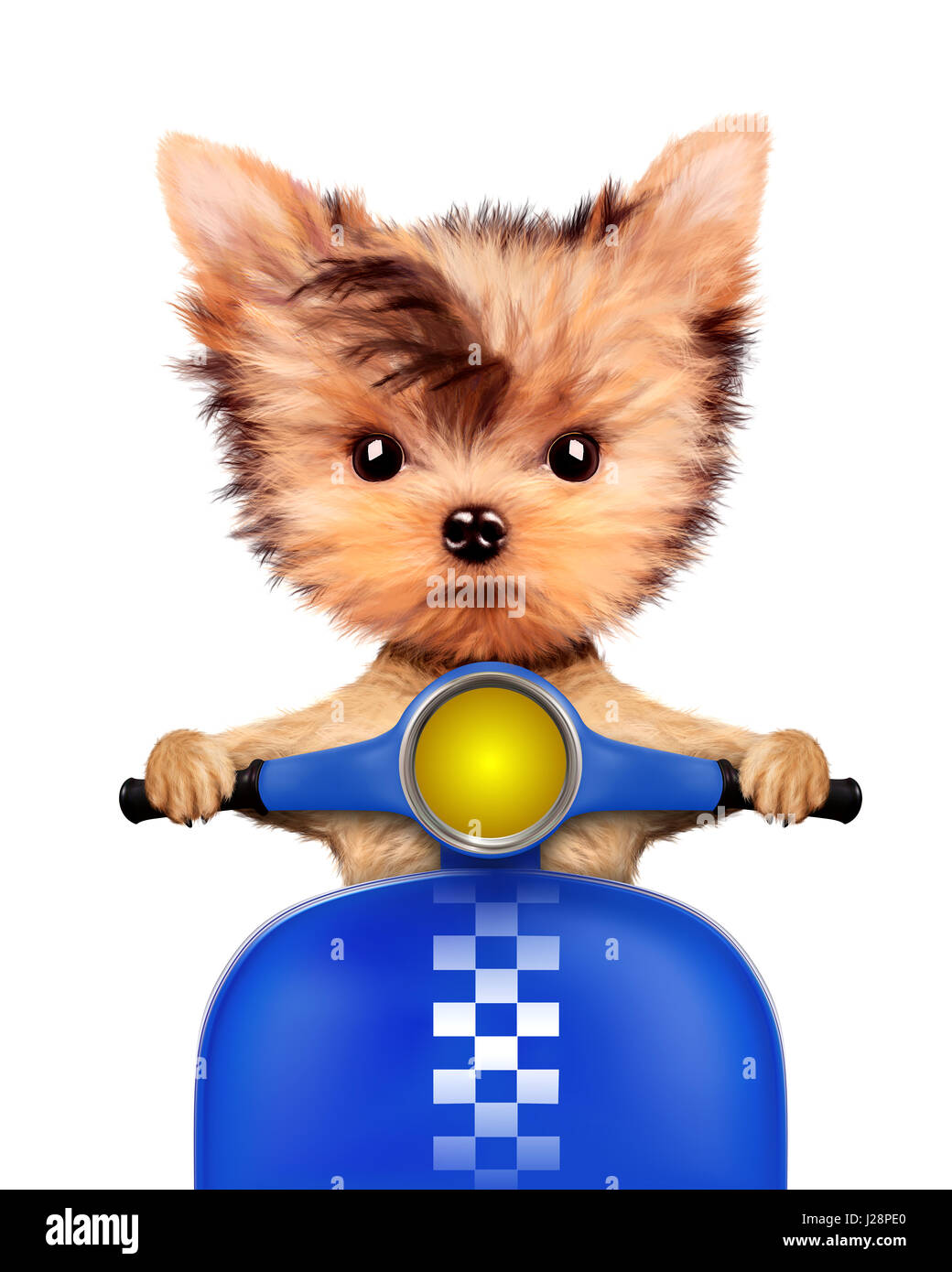 Adorable puppy sitting on a motorbike Stock Photo - Alamy