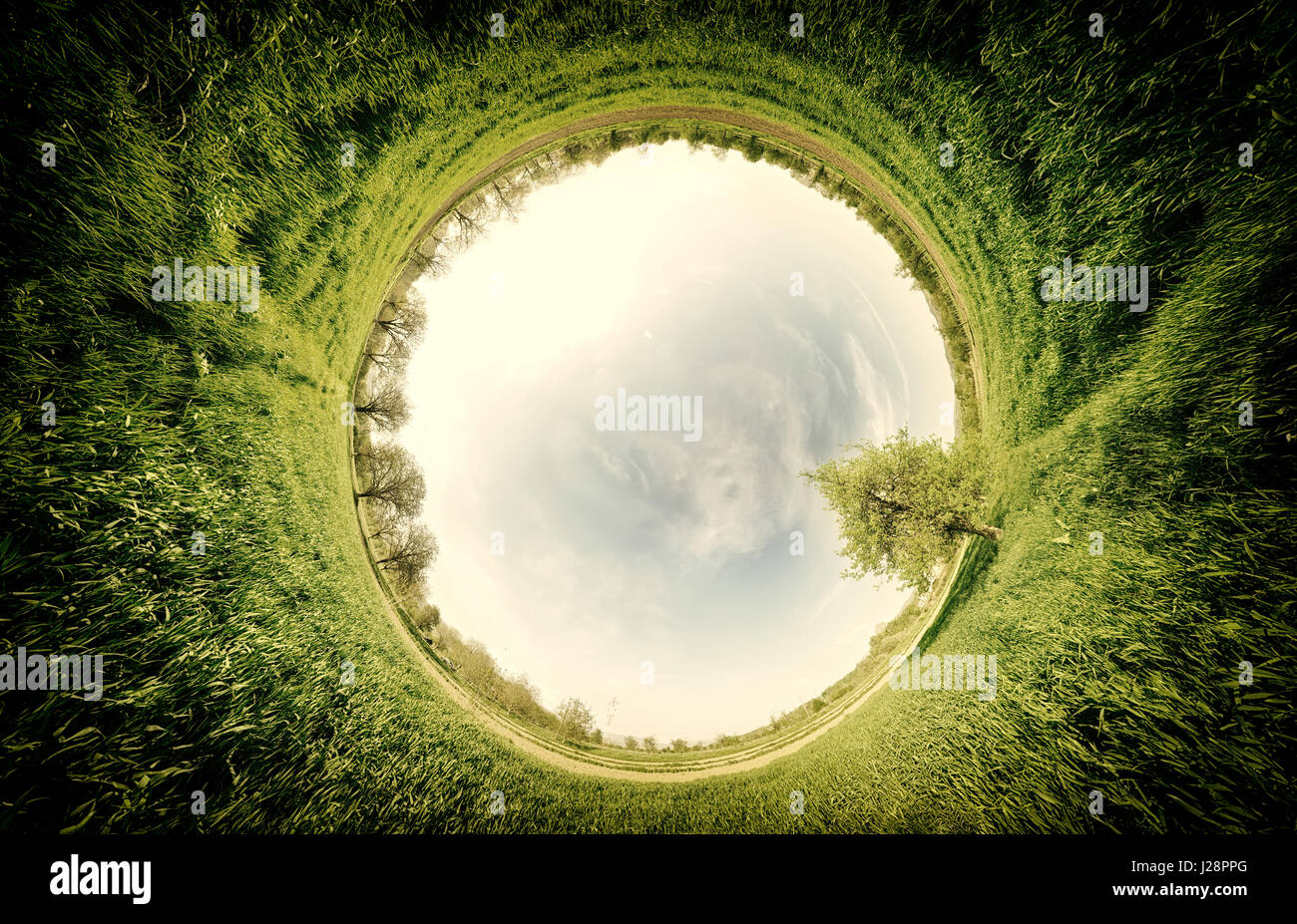 Stereographic panoramic projection of a green field with trees Stock ...