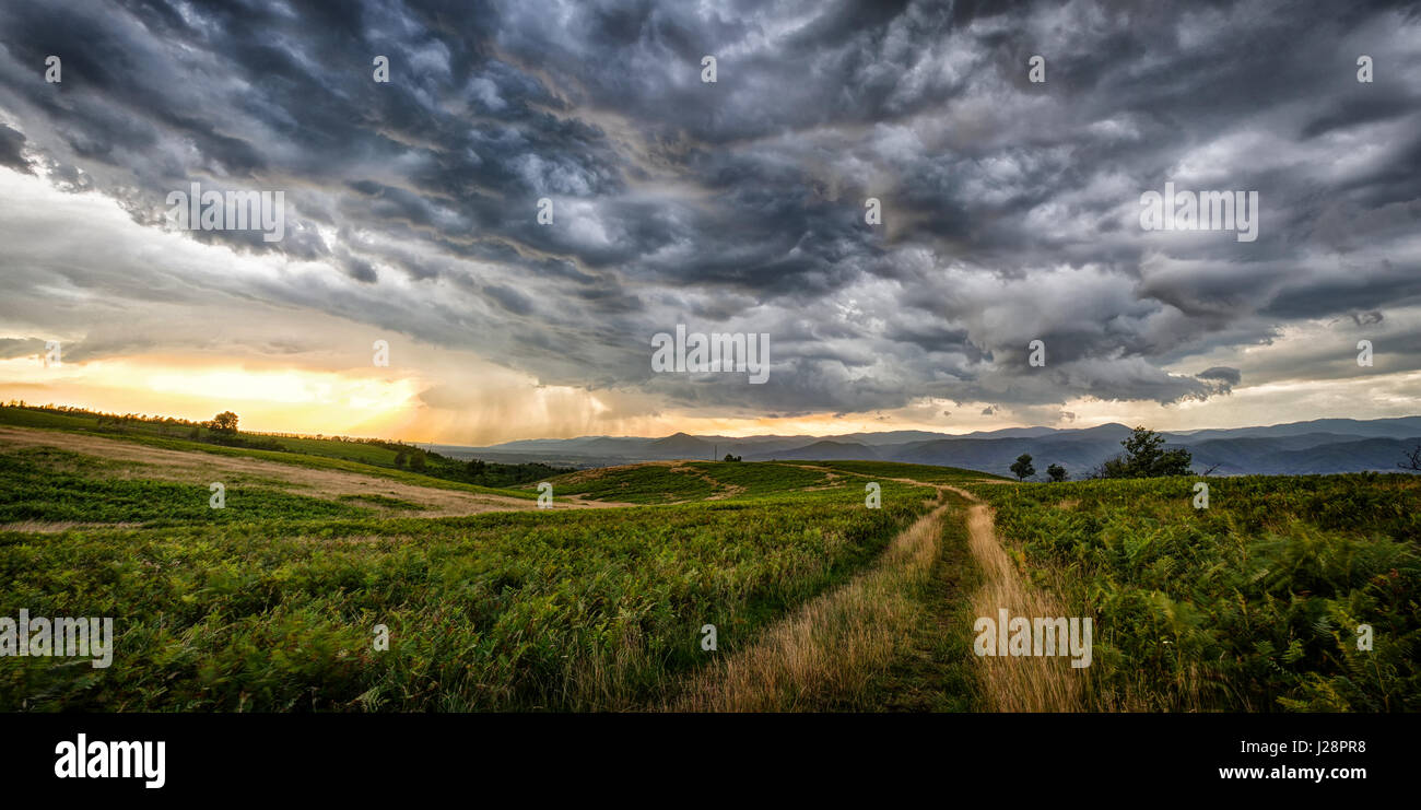 Dramatic storm scene with rain at the horizon and rural path going ...