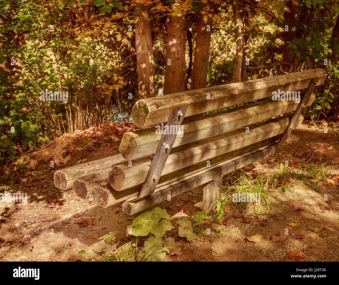 Nature park bench hi-res stock photography and images - Alamy