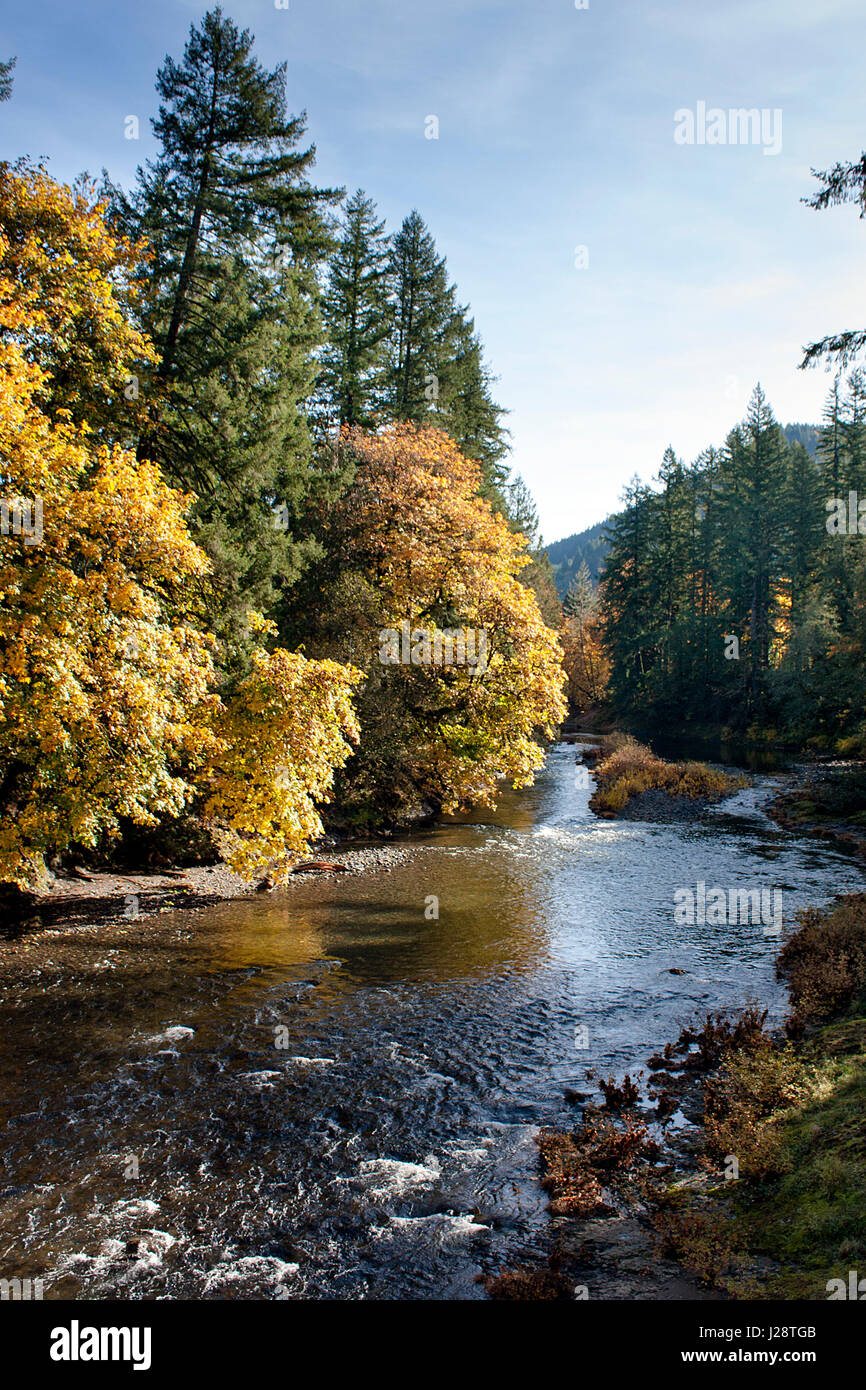 Lovely trees by river hi-res stock photography and images - Alamy
