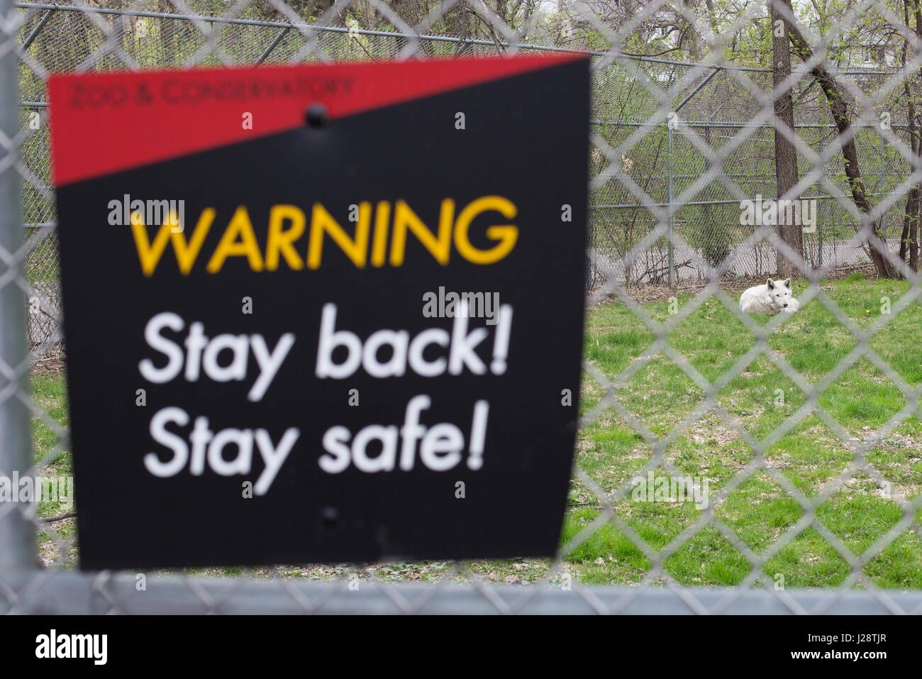 A warning sign on a gray wolf enclosure at an urban zoo, with wolf in ...