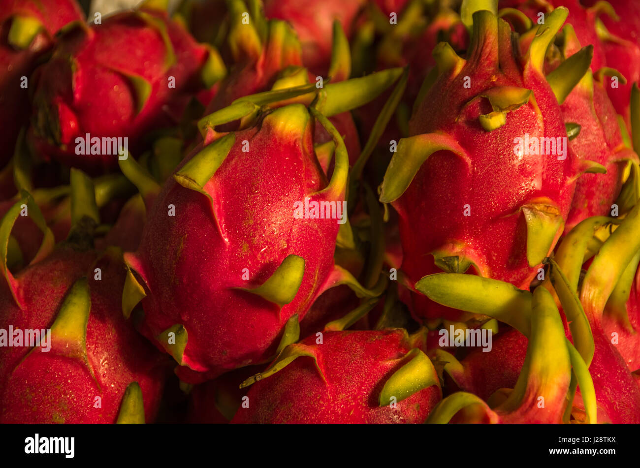 Exotic fruits dragon fruit hi-res stock photography and images - Alamy