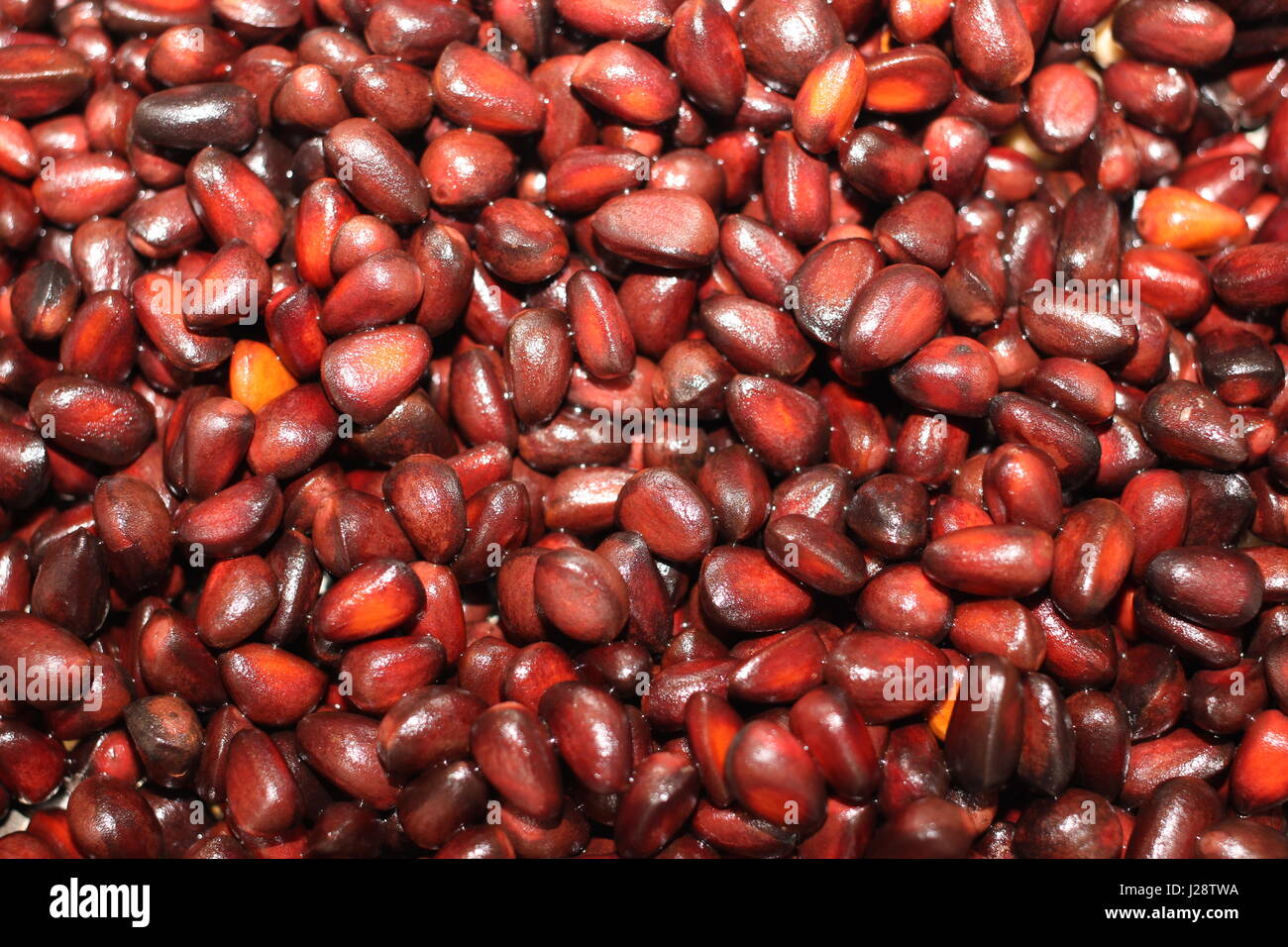The texture of the wet pine nuts closeup Stock Photo - Alamy