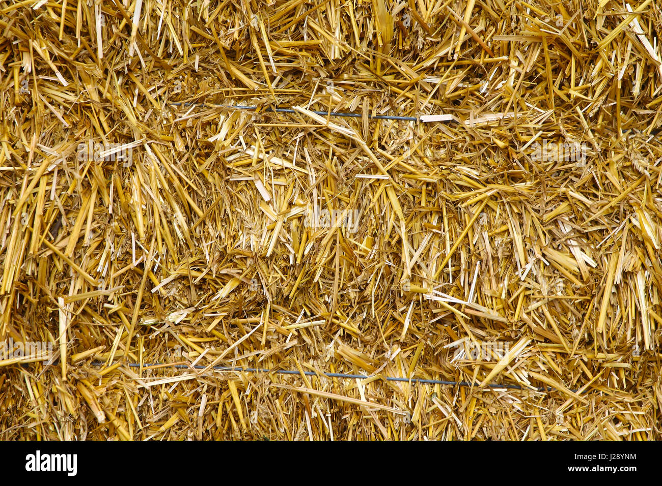 Dry yellow straw grass background texture after havest Stock Photo - Alamy