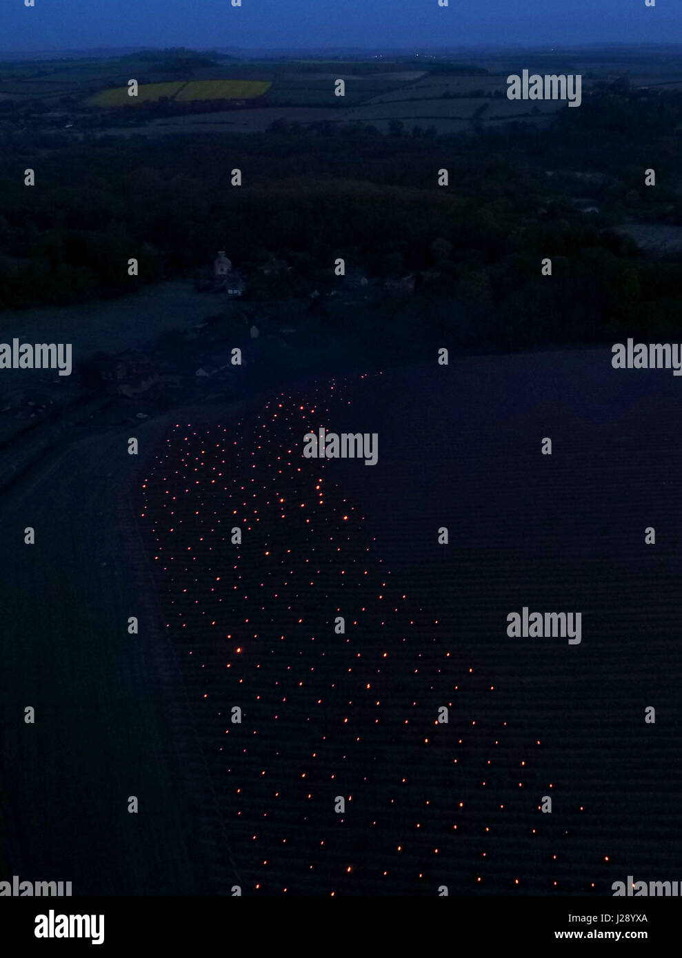 An aerial view of hundreds of candles are lit in the vineyard of ...