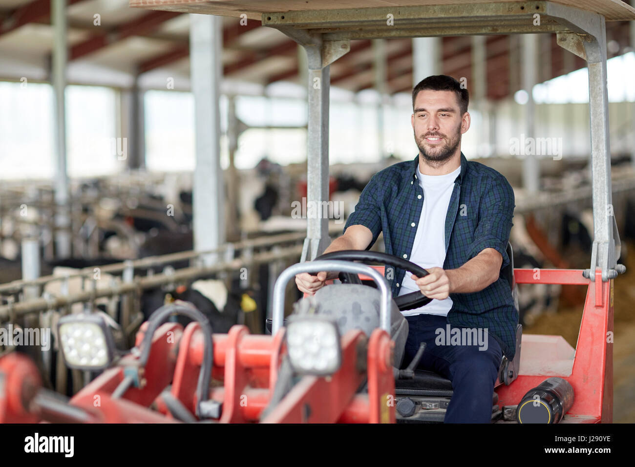 Farmer driving cow hi-res stock photography and images - Alamy