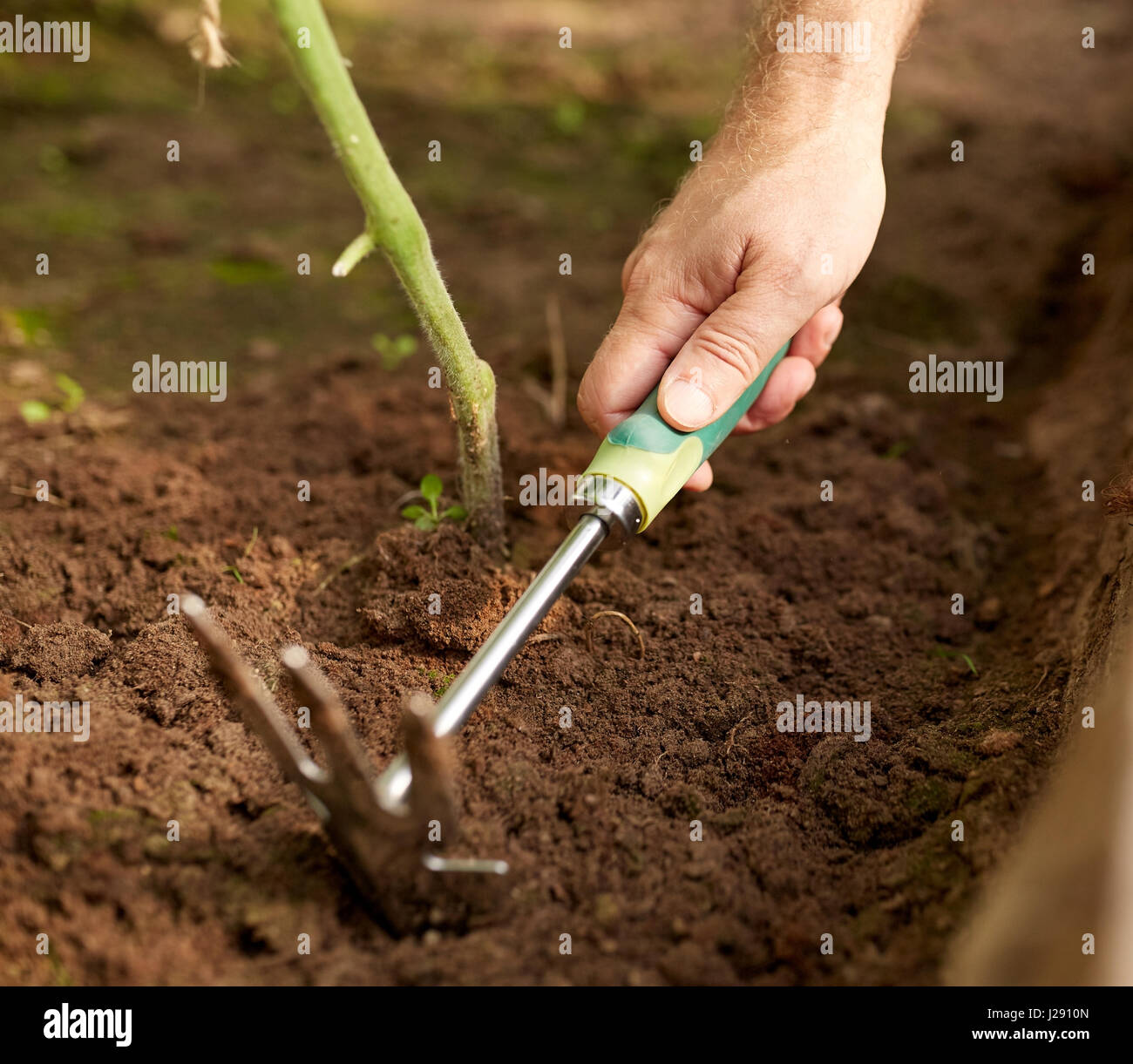 Weeding hoe hi-res stock photography and images - Alamy