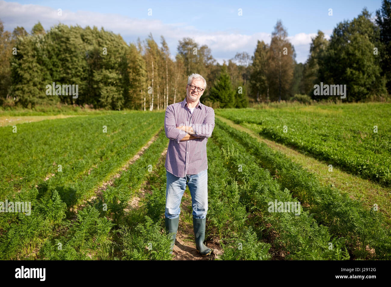happy senior man at farm Stock Photo - Alamy