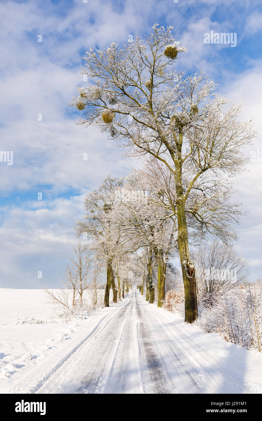 The snowy road in a countryside in winter Stock Photo - Alamy