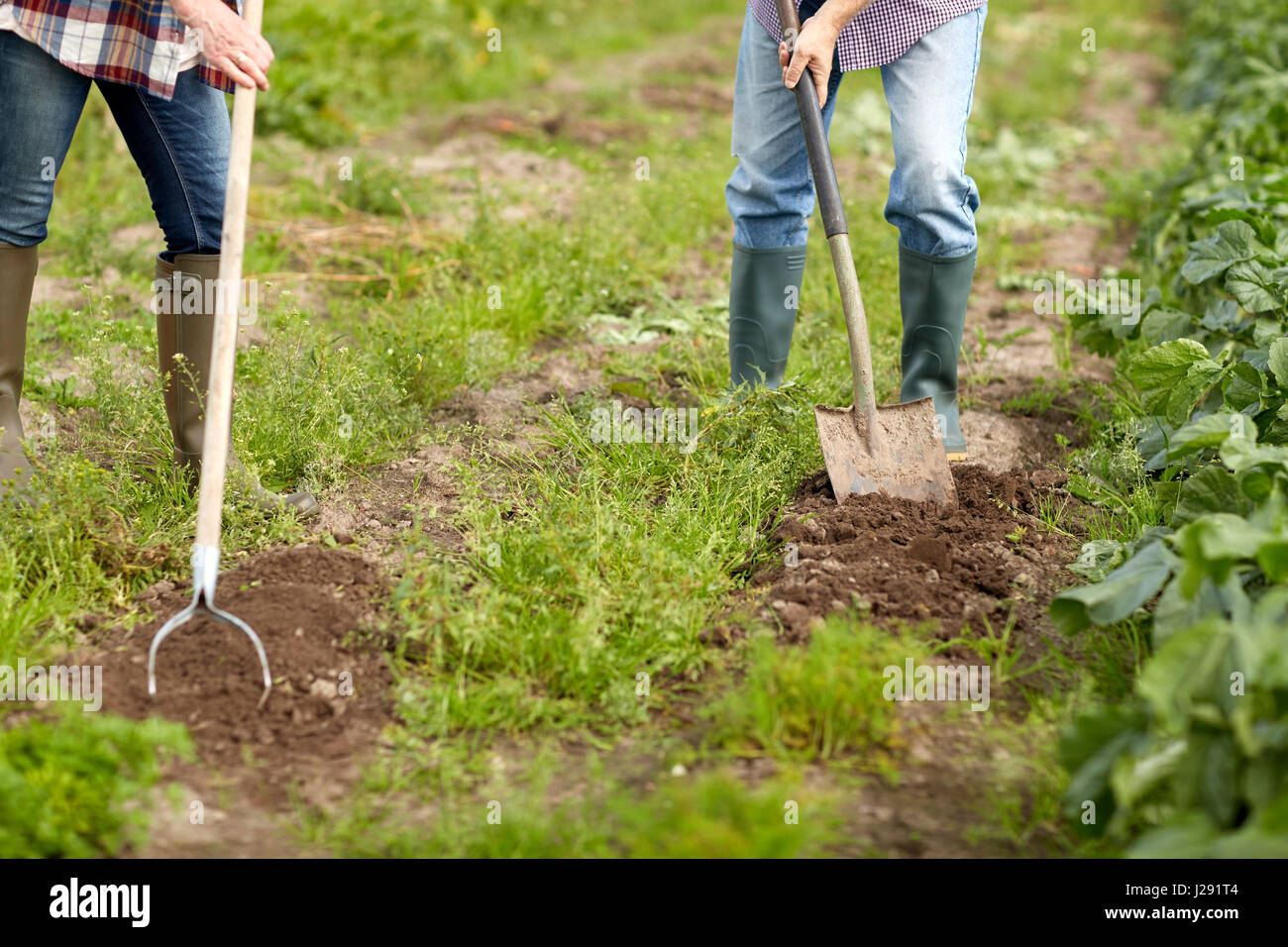 Wife digging hi-res stock photography and images - Alamy