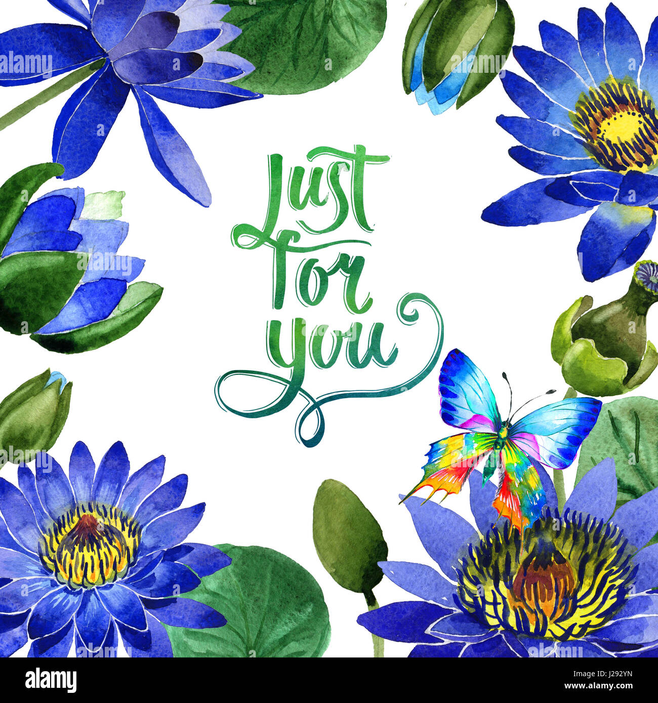 Wildflower blue lotus flower frame in a watercolor style isolated. Full ...