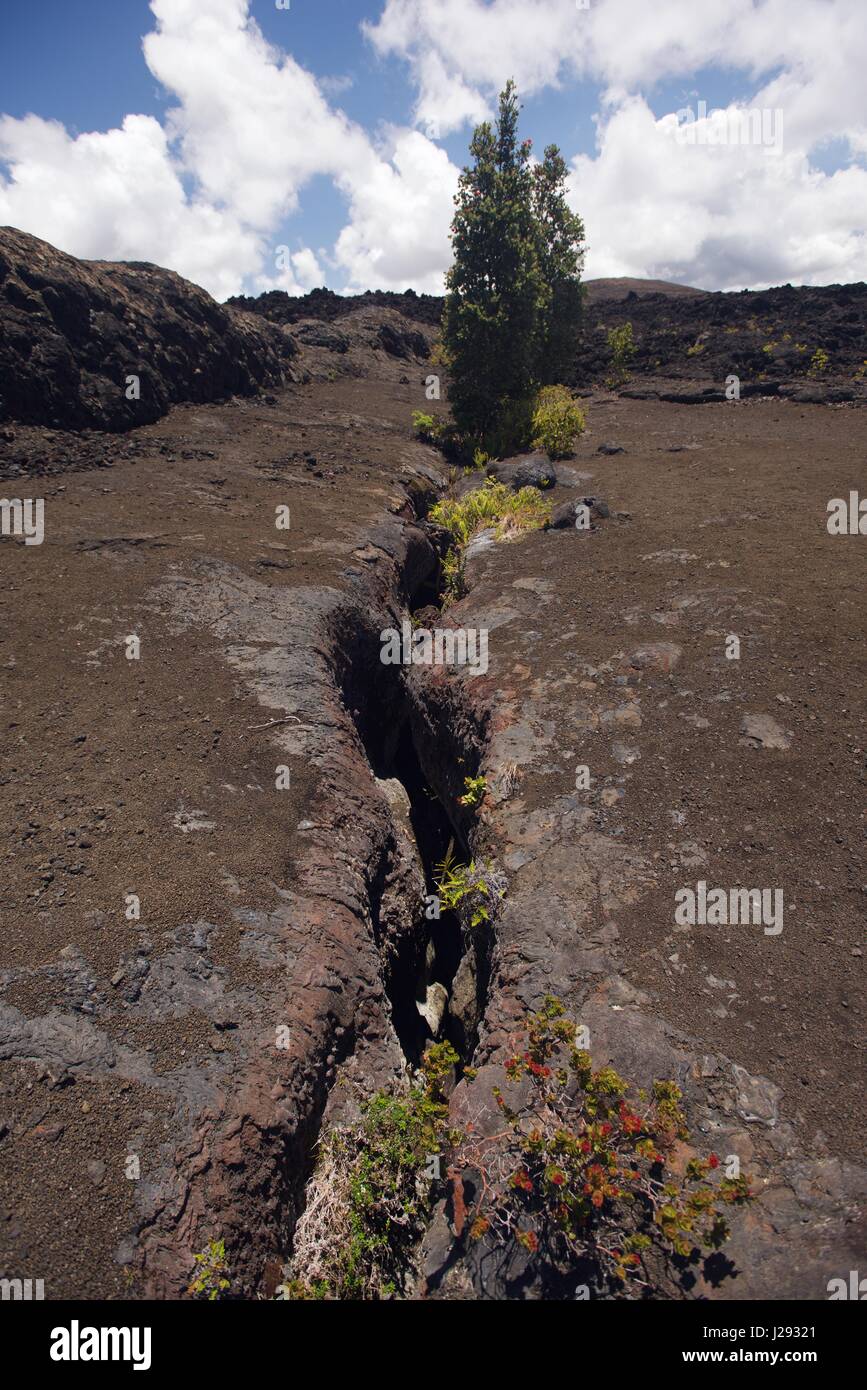 Hawaii Volcanoes National Park is on Hawaii Island (the Big Island and ...