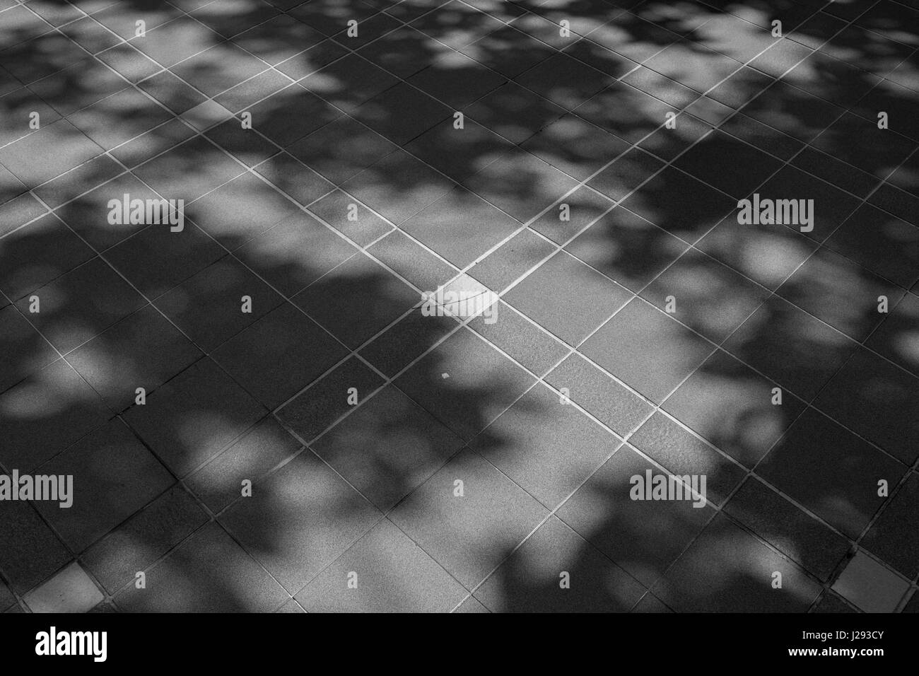 Ground element Black and White Stock Photos & Images - Alamy