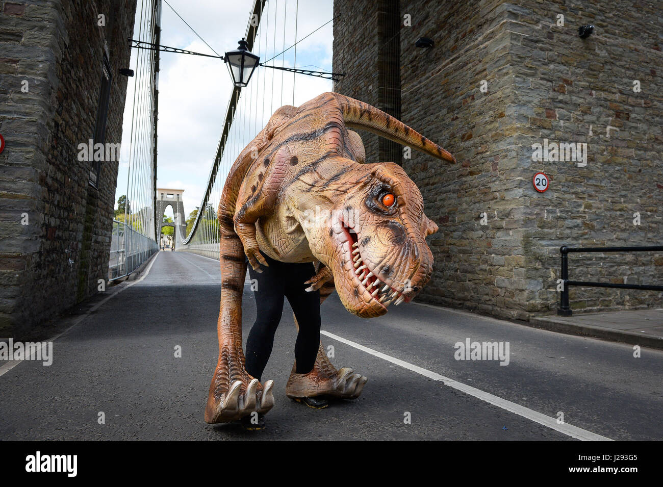 A life-like T-Rex animatronic dinosaur called Denzel walks across ...