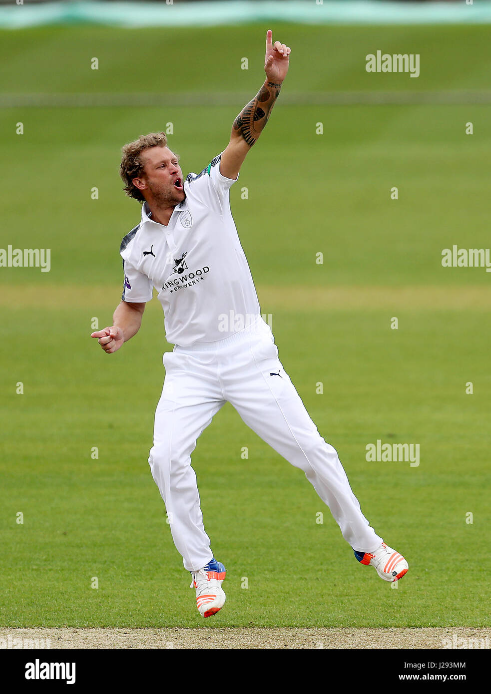Gareth berg cricket hi-res stock photography and images - Alamy