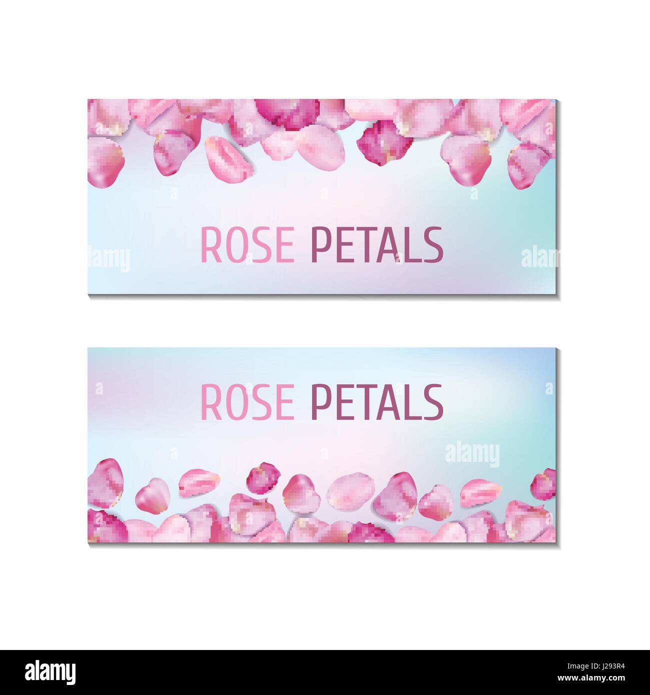 Banners with pink rose petals. Vector template Stock Vector Image & Art ...