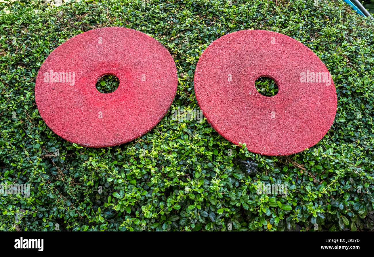 Floor scrubber hi-res stock photography and images - Alamy