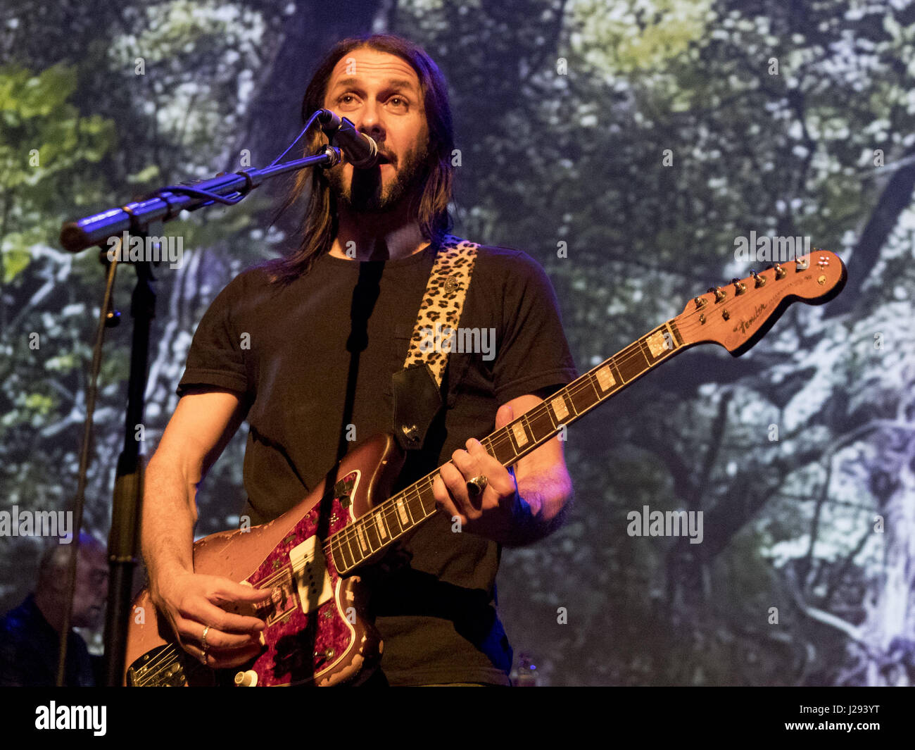 Feeder grant nicholas 2017 hi-res stock photography and images - Alamy