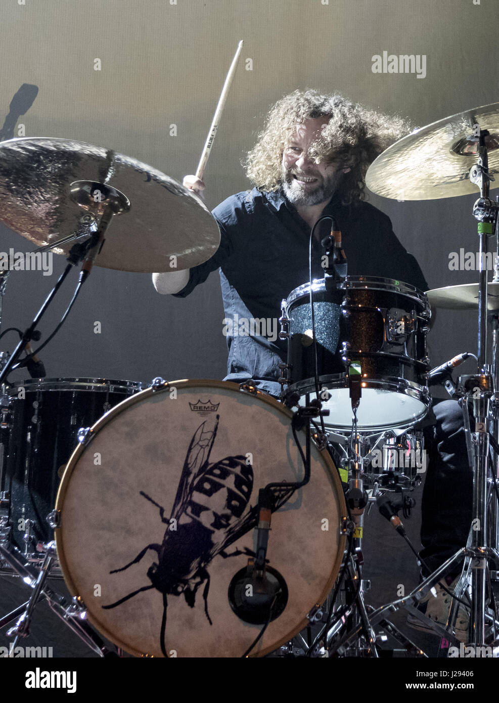 Tom gleeson hi-res stock photography and images - Alamy