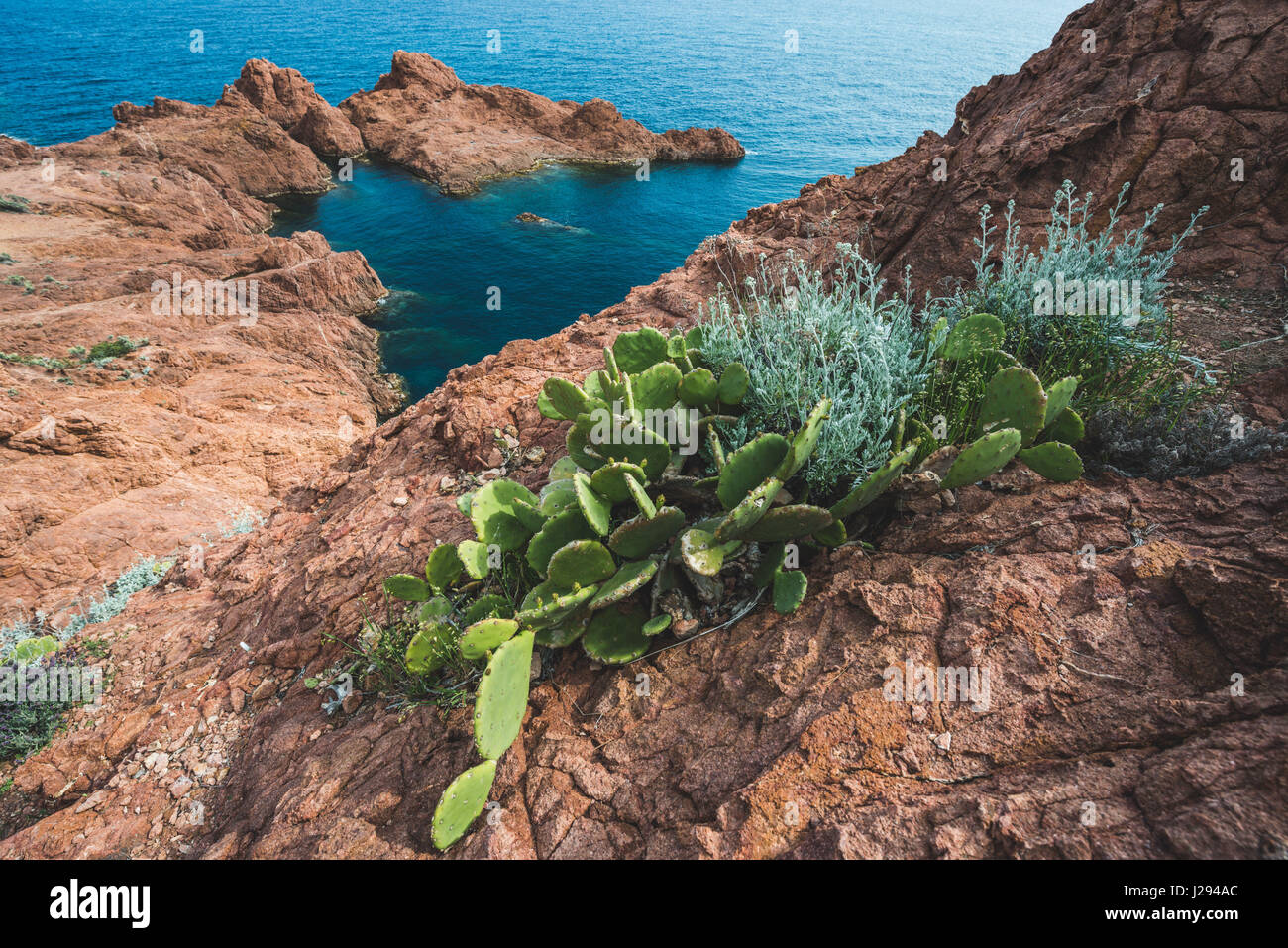 Le Dramont red rocks in the southern part of France Photo: Cronos ...