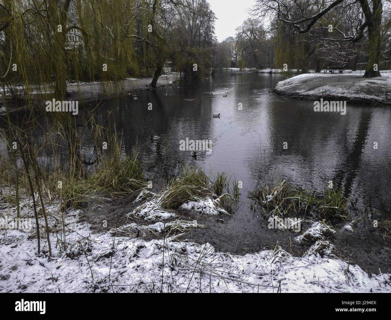 Onset of winters hi-res stock photography and images - Alamy