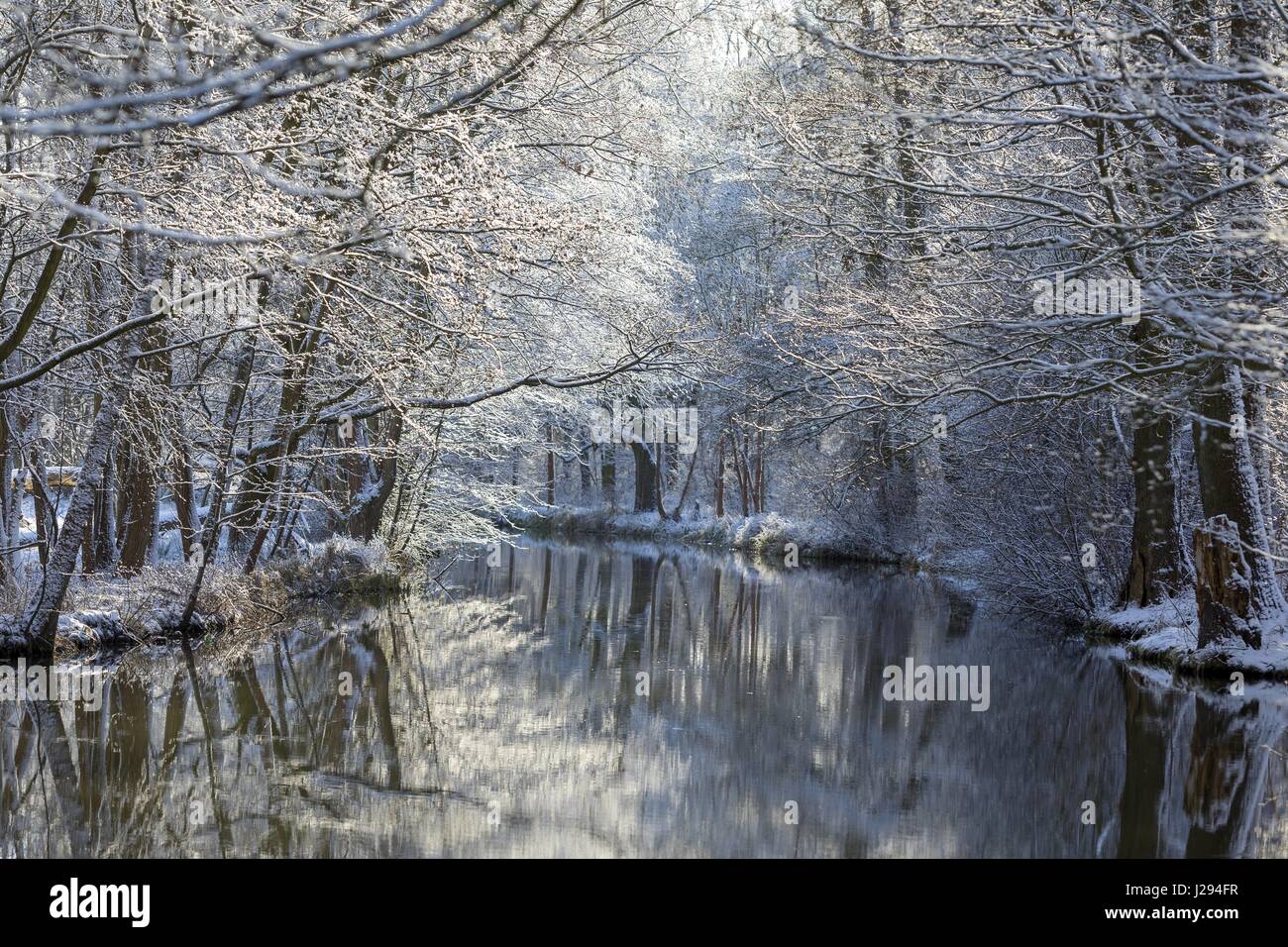 Winter in the Spreewald (Spree forest) near Burg, 16 Jan 2017 | usage ...