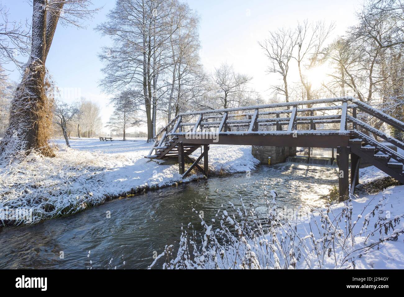 Winter in the Spreewald (Spree forest) near Burg, 16 Jan 2017 | usage ...