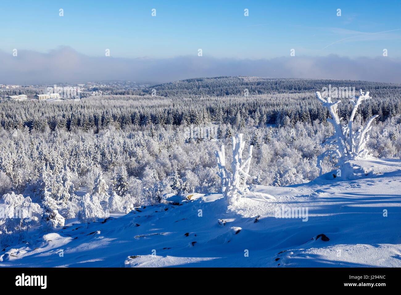 Winter in the Erzgebirge, Altenberg (Saxony), 18 Jan 2017 | usage ...