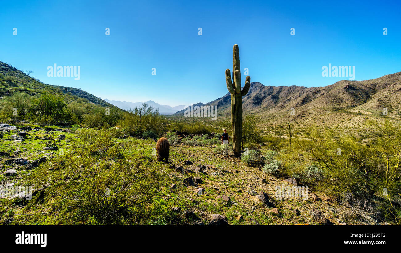 A beautiful day hike on a clear sunny day at South Mountain Park by ...