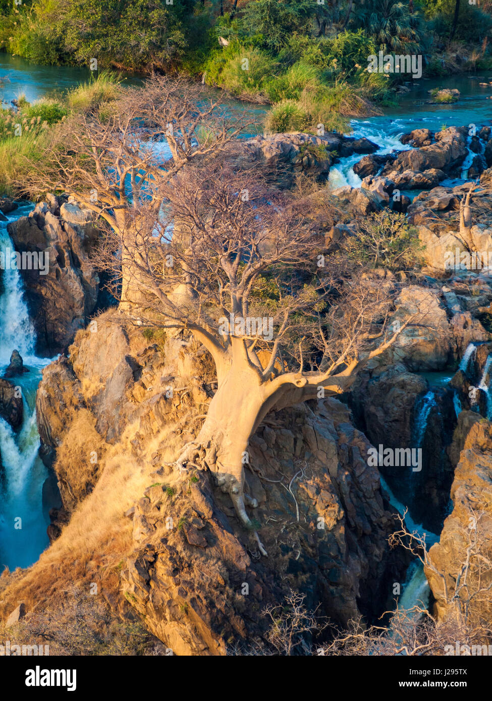 Epupa oasis hi-res stock photography and images - Alamy