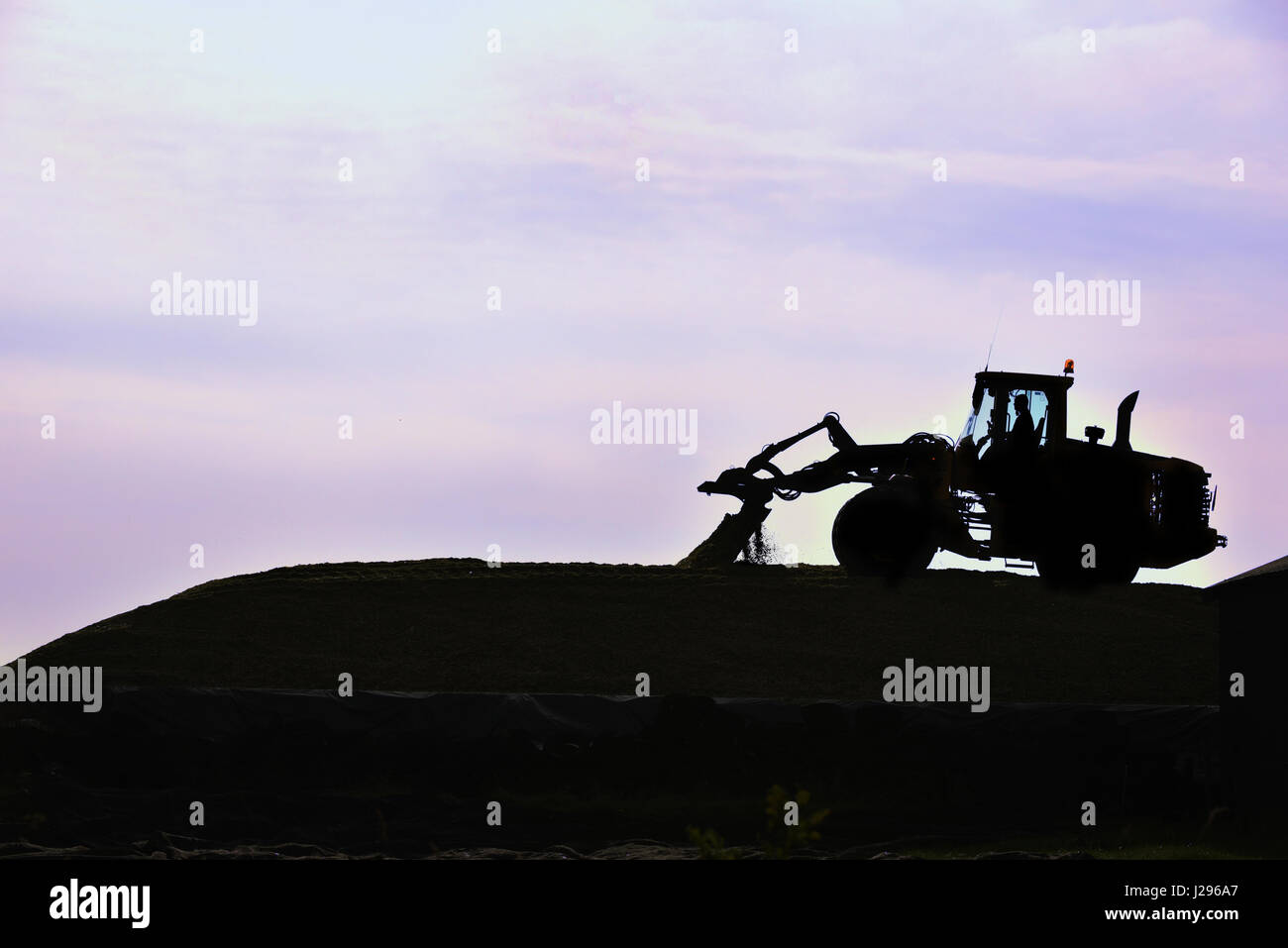 Shovel Silhouette, Wheel loader rolling a silage heap at a farm during ...