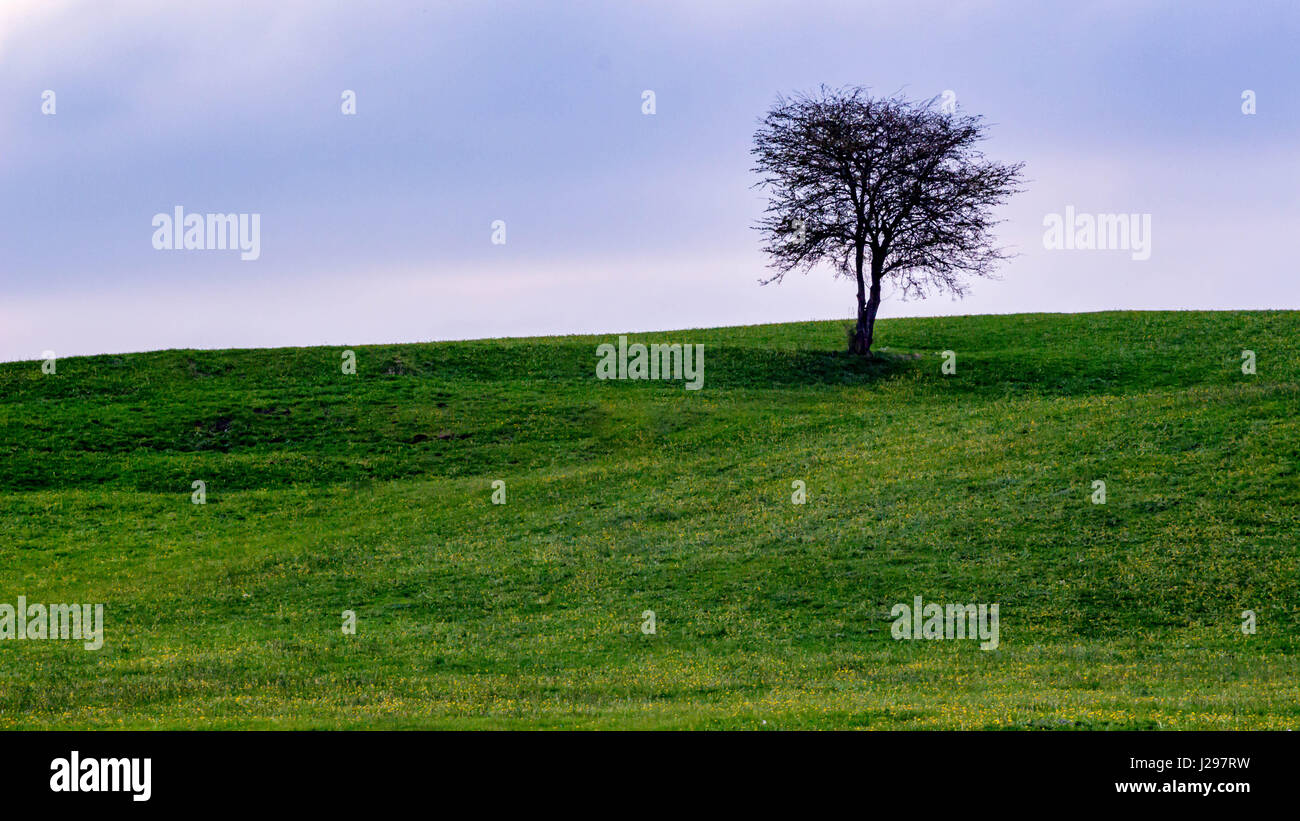 Hintergrundbild hi-res stock photography and images - Alamy
