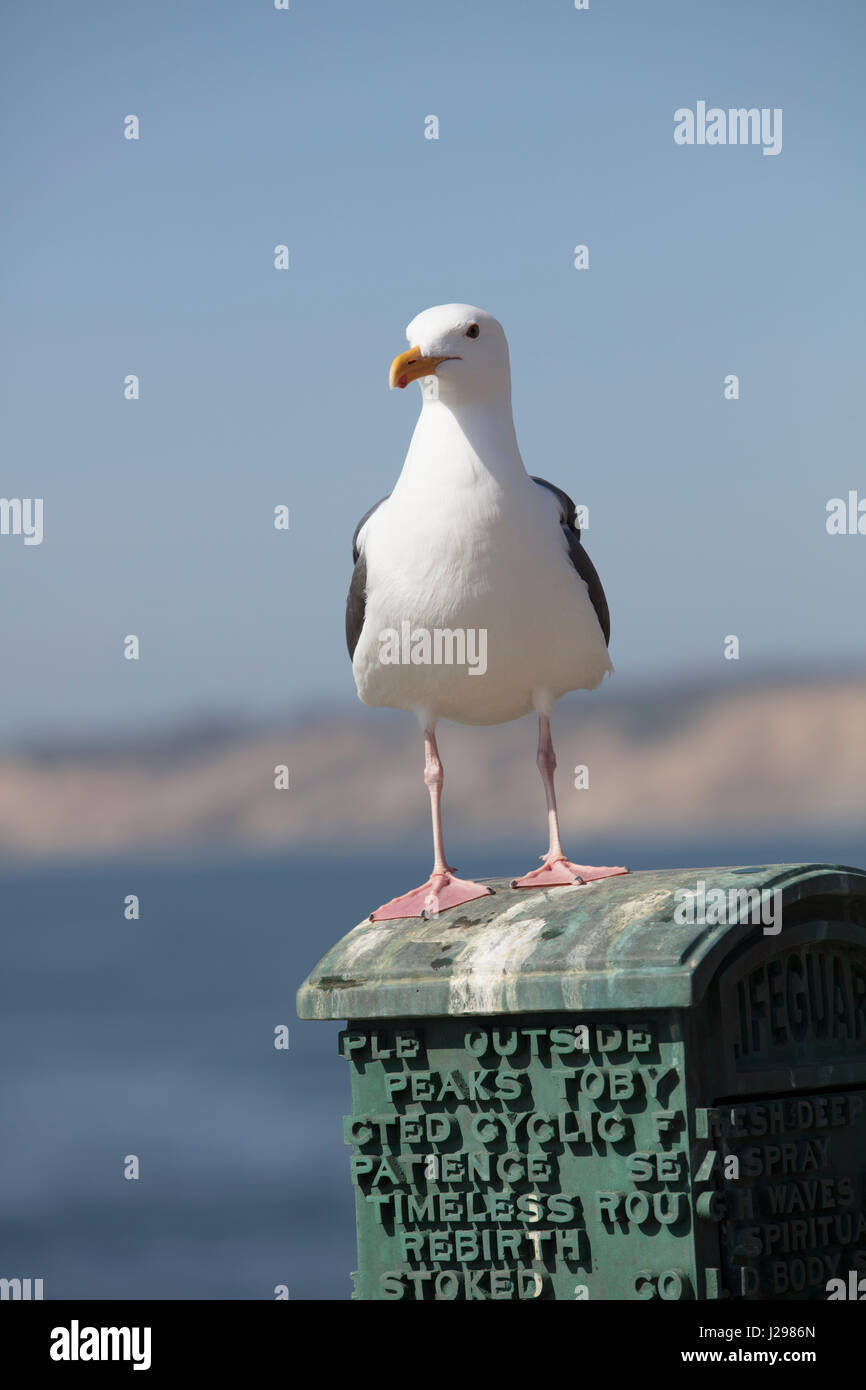 Standing on a box hi-res stock photography and images - Alamy