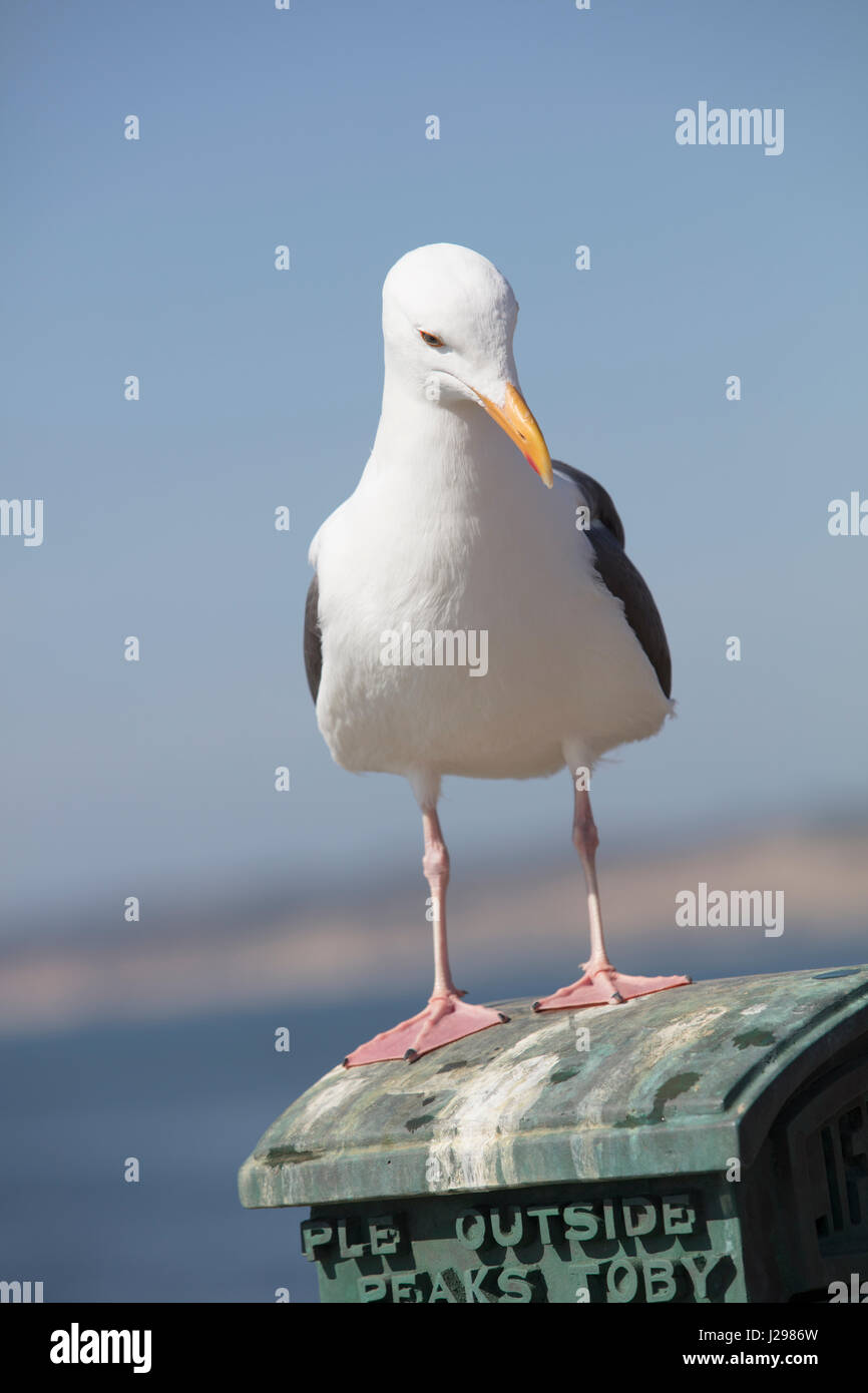 Standing on a box hi-res stock photography and images - Alamy