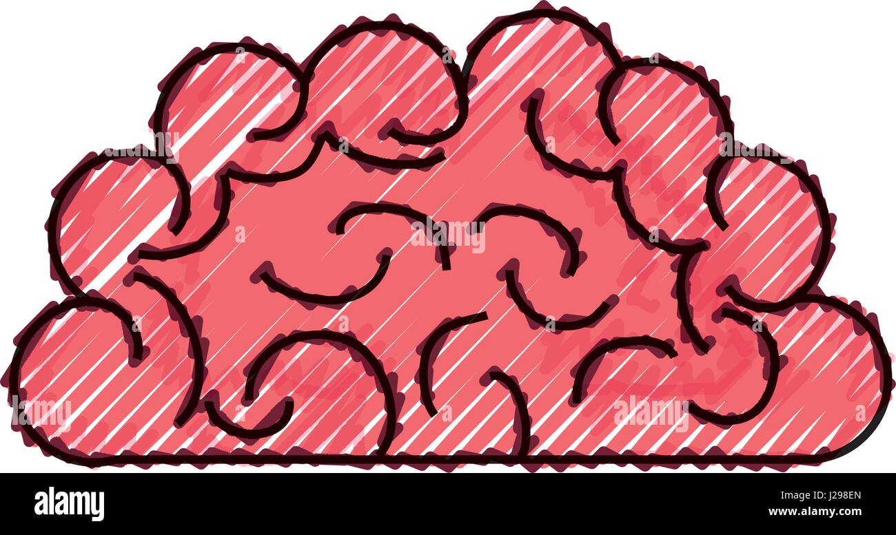 Scribble Brain Stock Photos & Scribble Brain Stock Images - Alamy