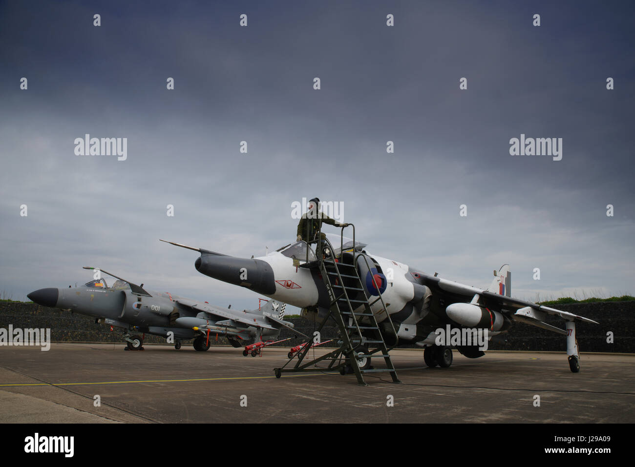 Hawker harrier jump jet cold war hi-res stock photography and images ...