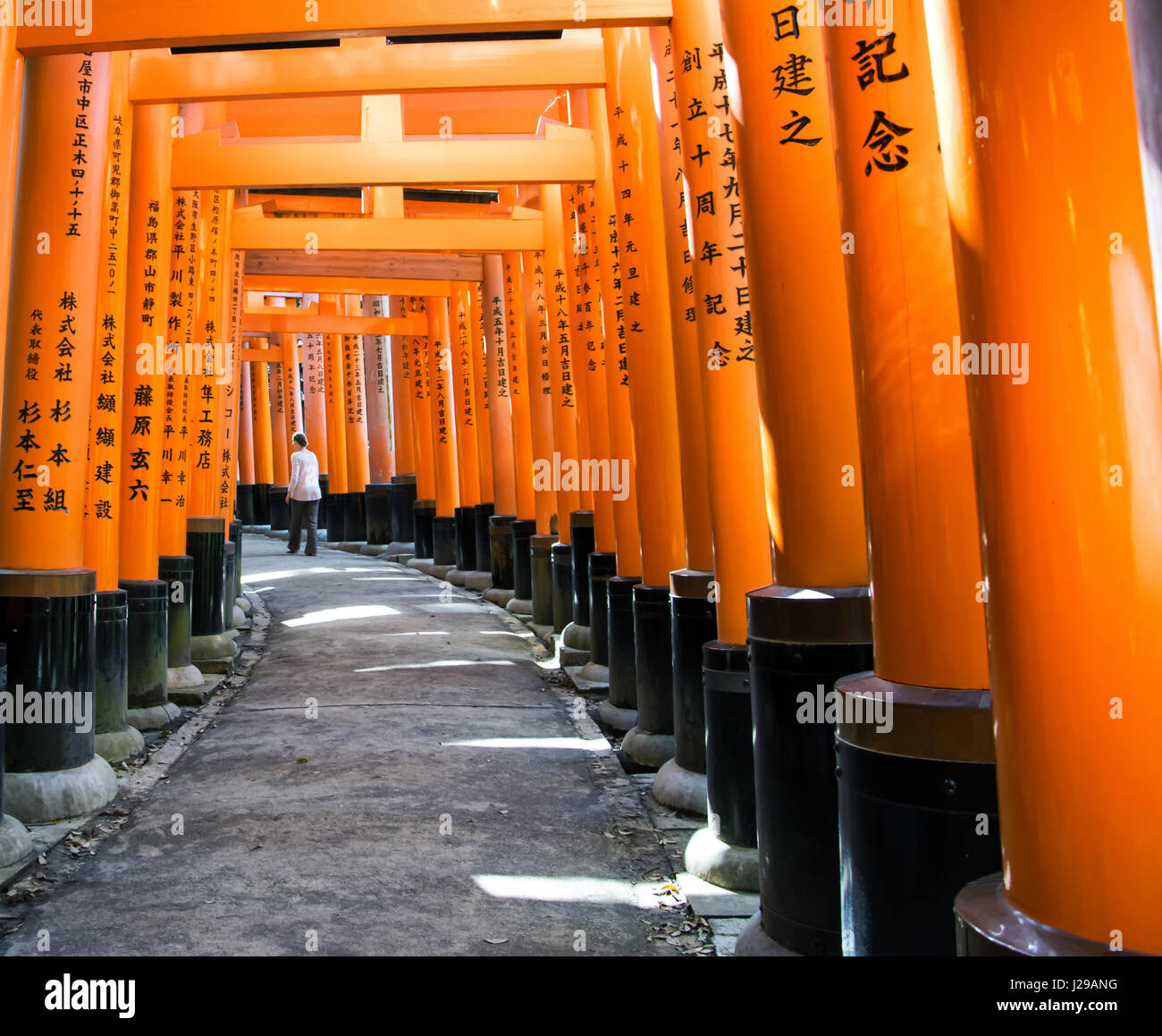 Torii gates in Fushimi Inari Shrine, Kyoto, Japan Stock Photo - Alamy
