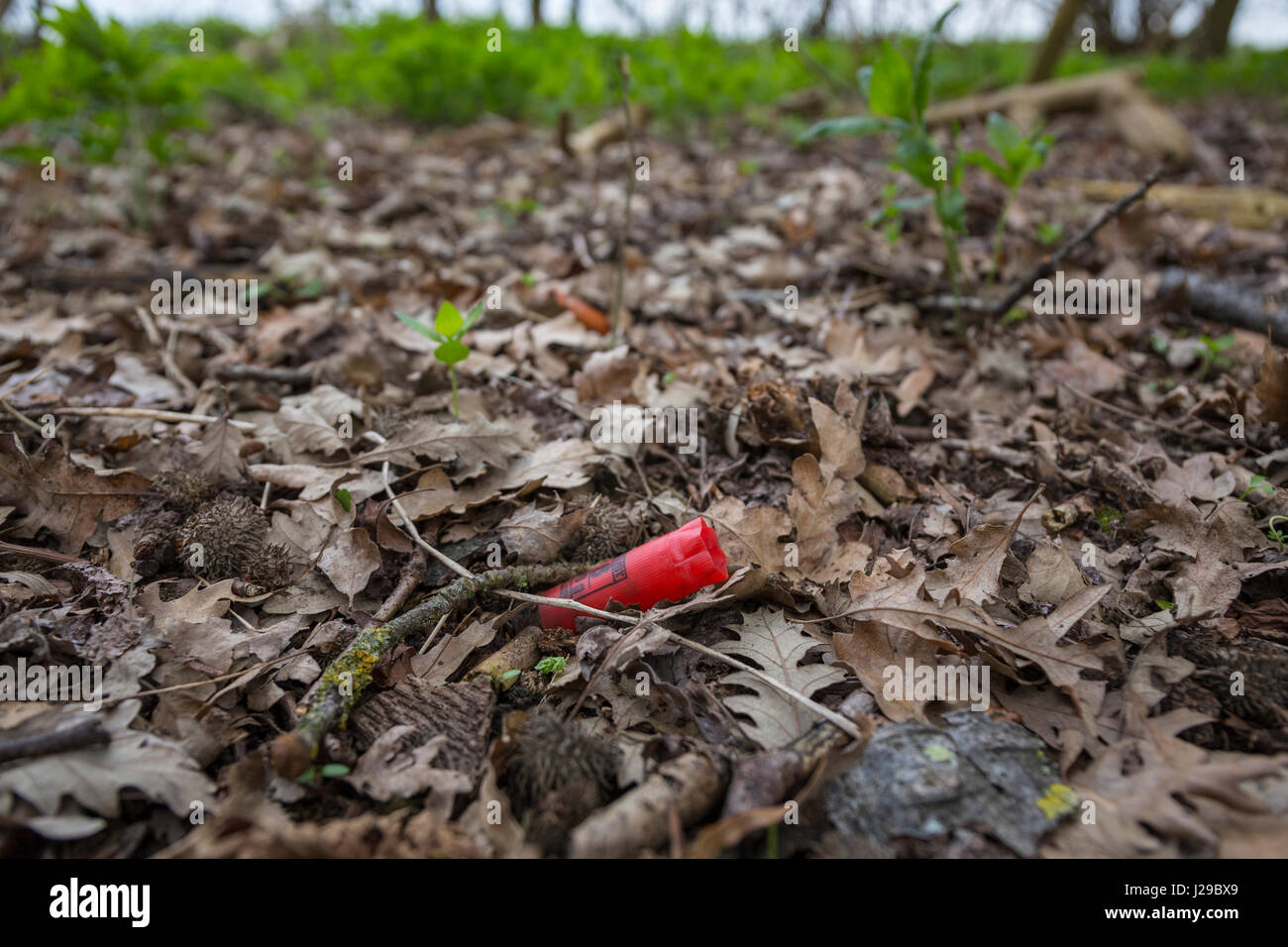 Shotgun shell hi-res stock photography and images - Alamy