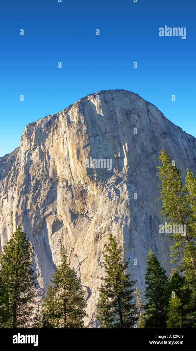 A low view of El Capitan in Yosemite National Park with clear blue sky ...
