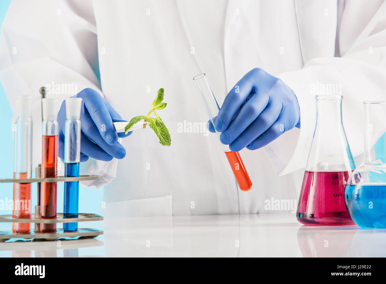 Plant sciences in lab Stock Photo - Alamy