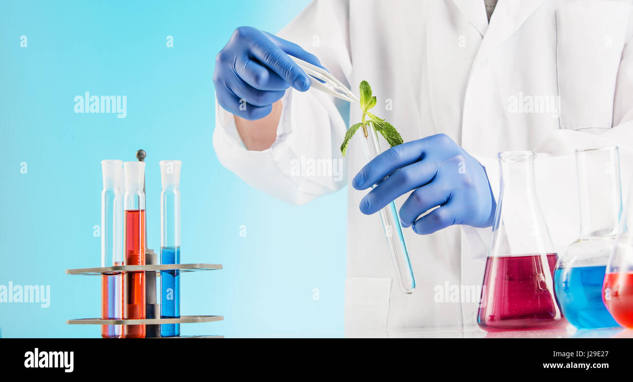 Plant sciences in lab Stock Photo - Alamy