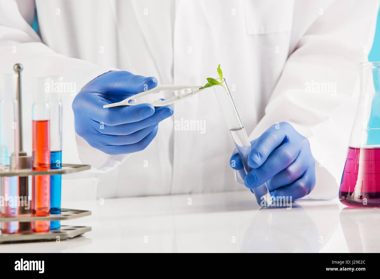 Biotechnology lab plant sprout in hi-res stock photography and images ...