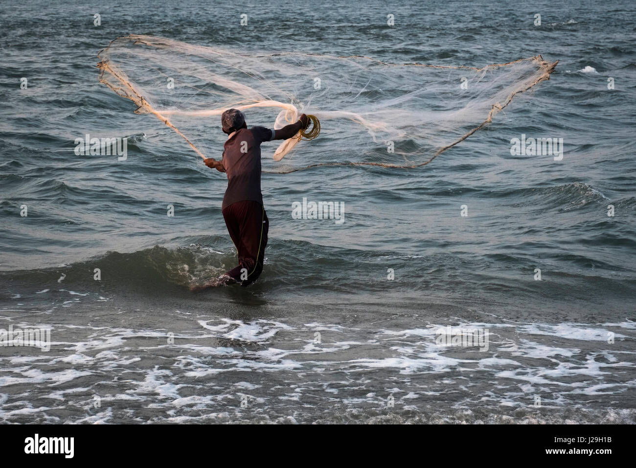 A fisherman throws his nets to the sea along the coast of Kochi Stock ...